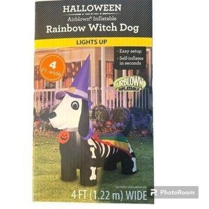 No brand / Not sure | Holiday | Rainbow Witch Dog Halloween Airblown ...